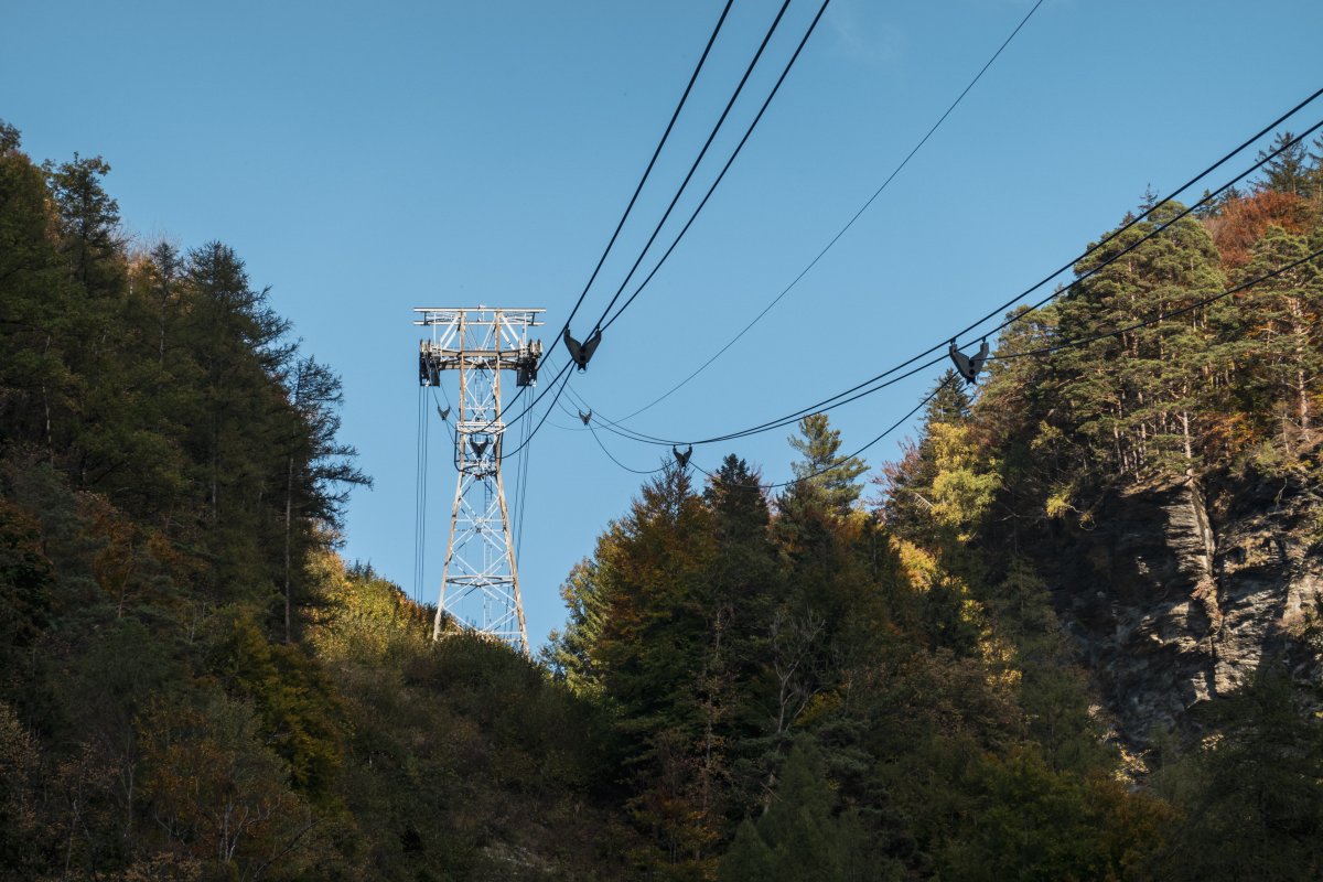 Photo Gallery - Photo View • Bergbahnen.org