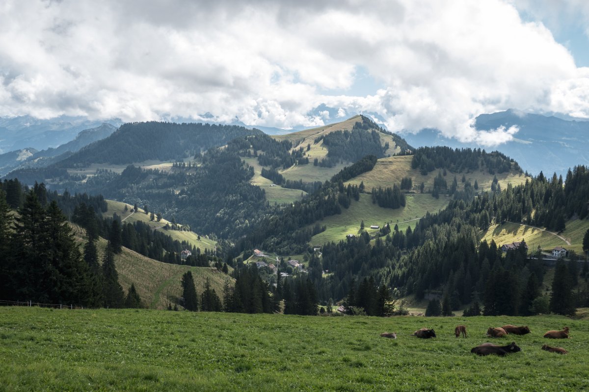 Photo Gallery - Photo View • Bergbahnen.org
